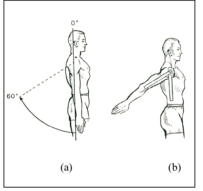 Extension Horizontal Realidad Fitness